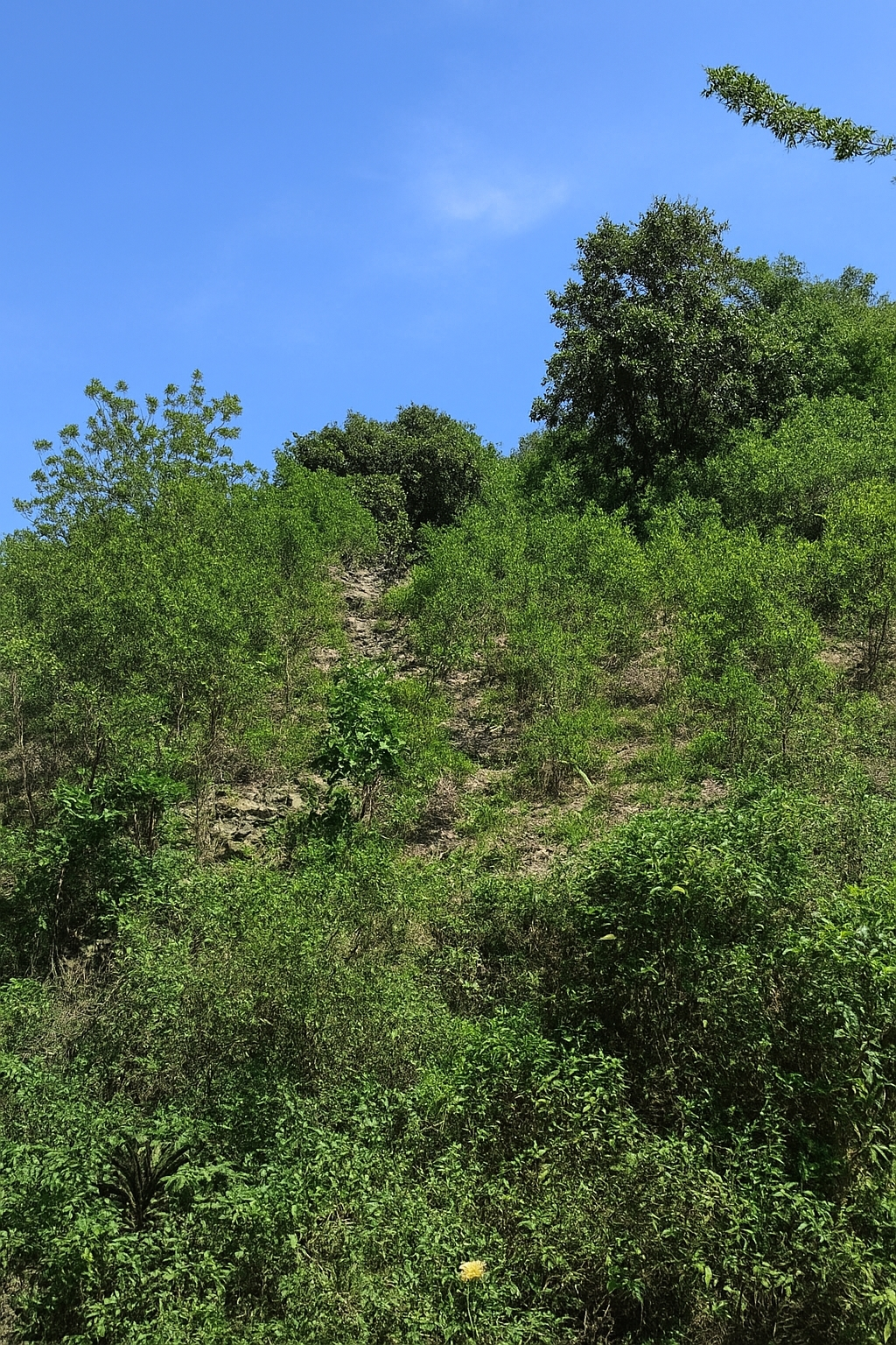 VM Property Services - Residential Lot for Sale JMD $3500000 ...